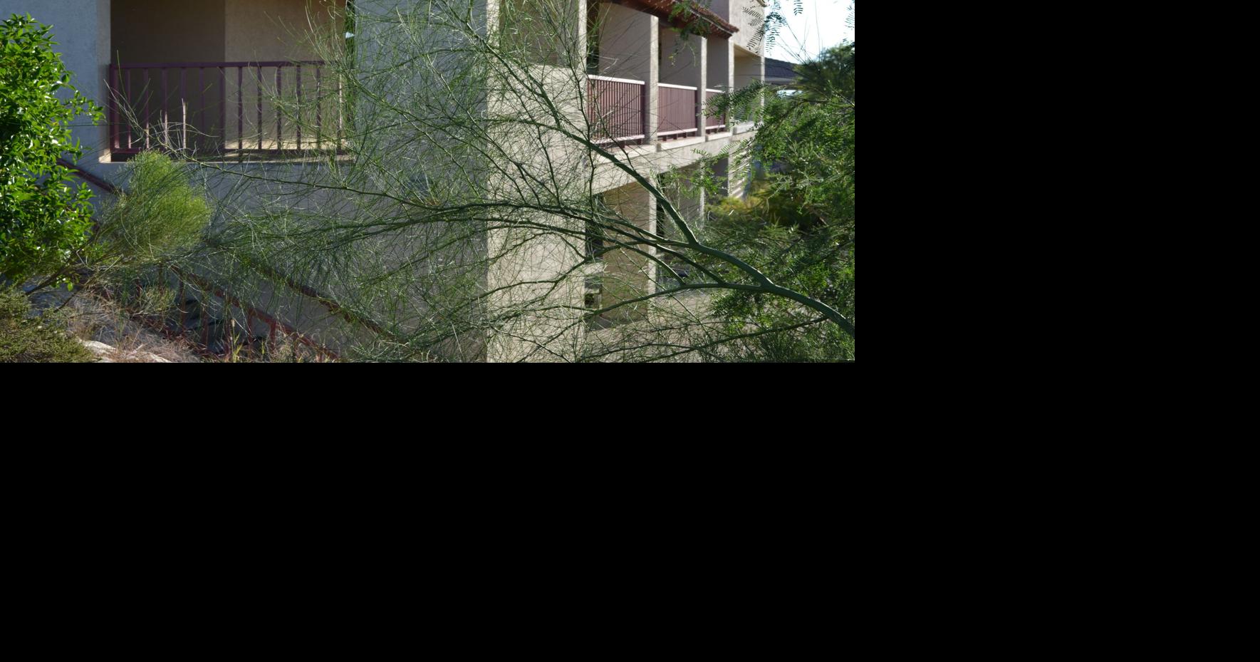 GVR looks at big changes to accommodate clubs | Local News Stories ...