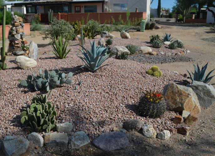 LANDSCAPING RENEWAL Casa Paloma II revegetation success underway | Get ...