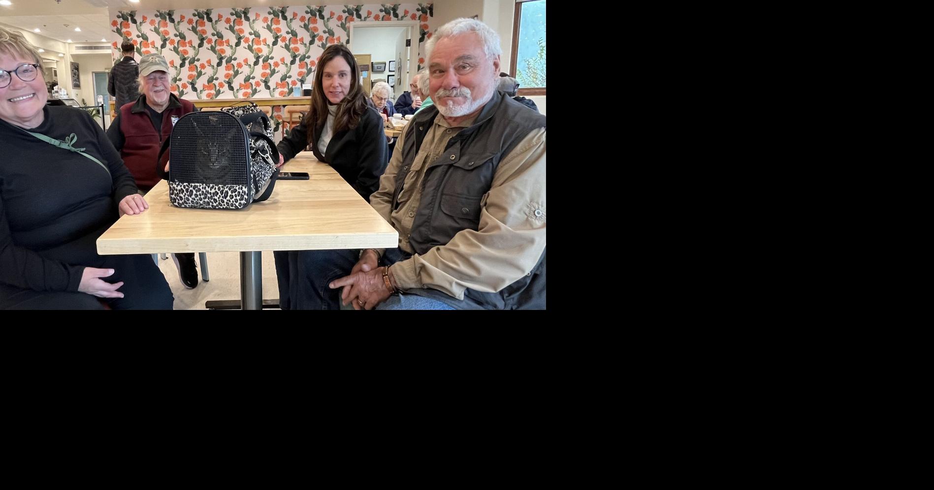 Disappearing act: Houdini the cat found in Madera Canyon after 29 days ...