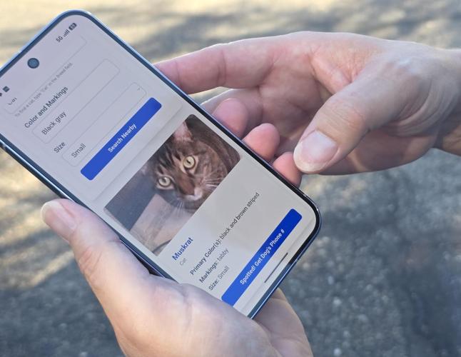 'Let's start saving some dogs': GV man creates website to find lost ...