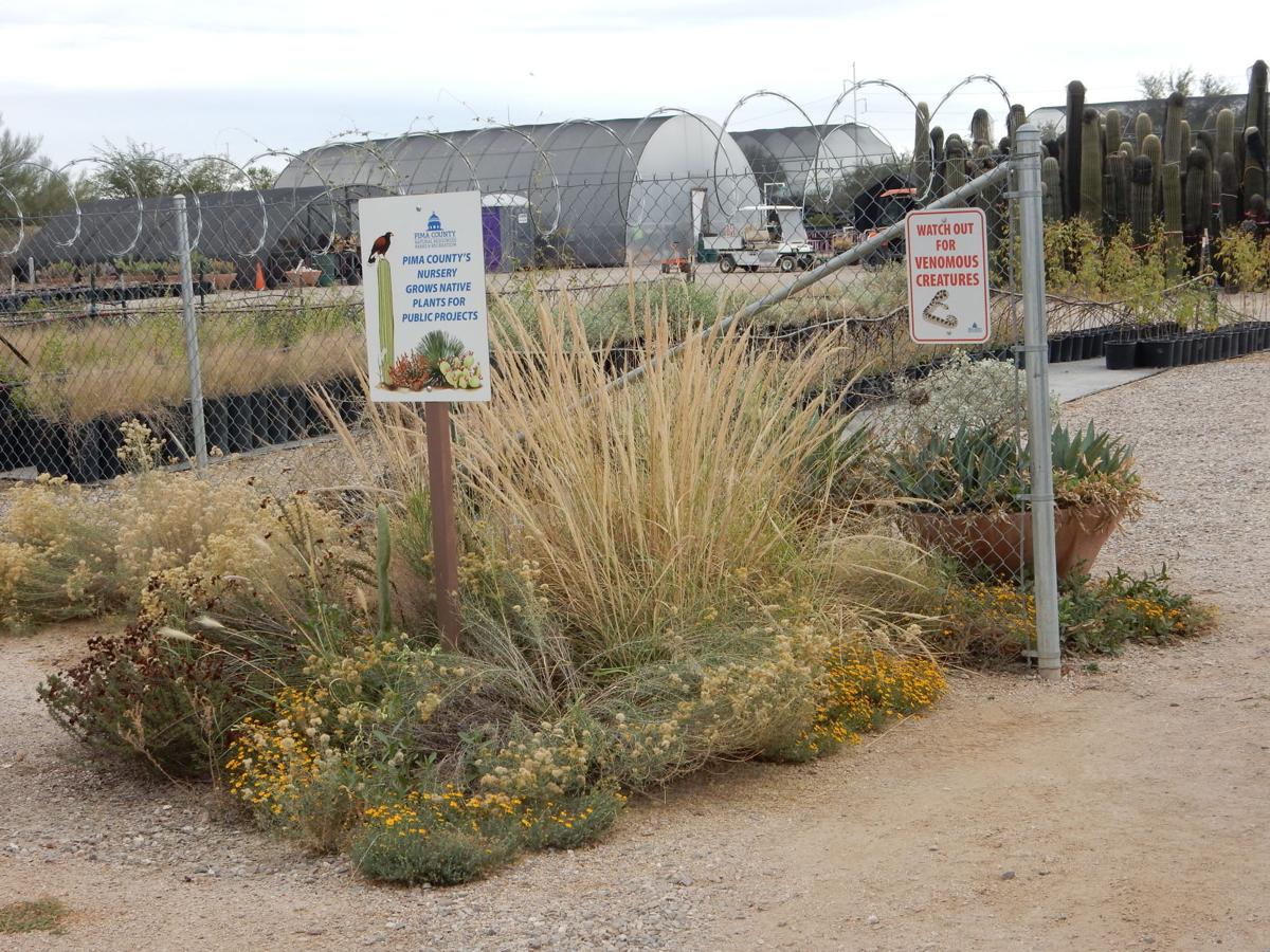 Making Plant Survivors! Native Plant Nursery successes, dedication ...