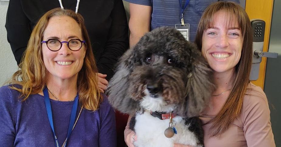 SUSD Crisis Response Team help students with tragedies, navigating life ...