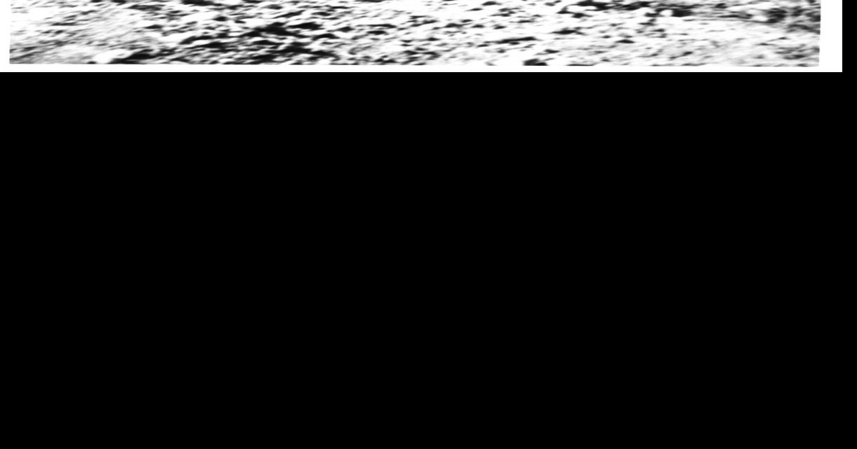 Meandering the Mesquite: ONE COMPLEX LADY — The incomparable Mrs. Earp ...