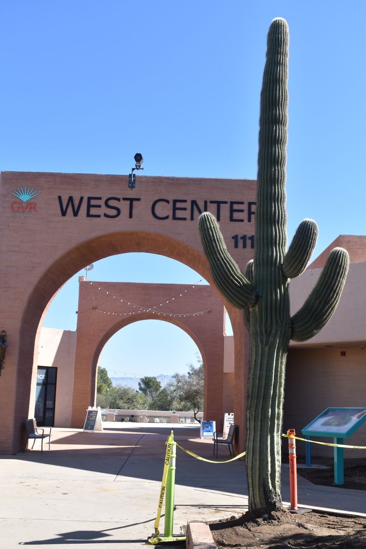 A new home: GVR brings in crew to relocate saguaros | Local News ...