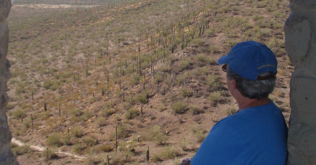 A Taste of Tucson: Visit the very beginnings of Tucson | Local News ...