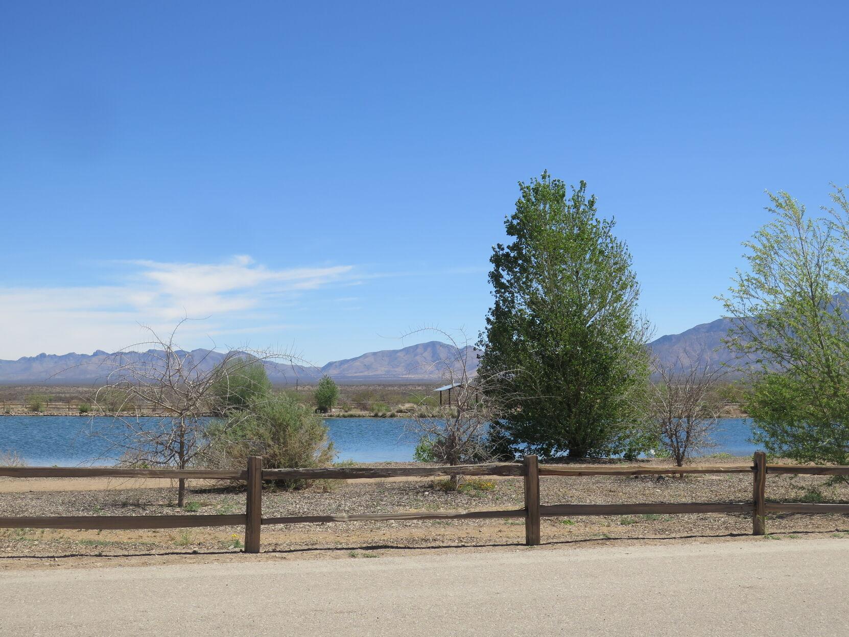 NATURE'S SPLENDOR: Soak up serenity at Canoa Ranch Lake | Get Out ...