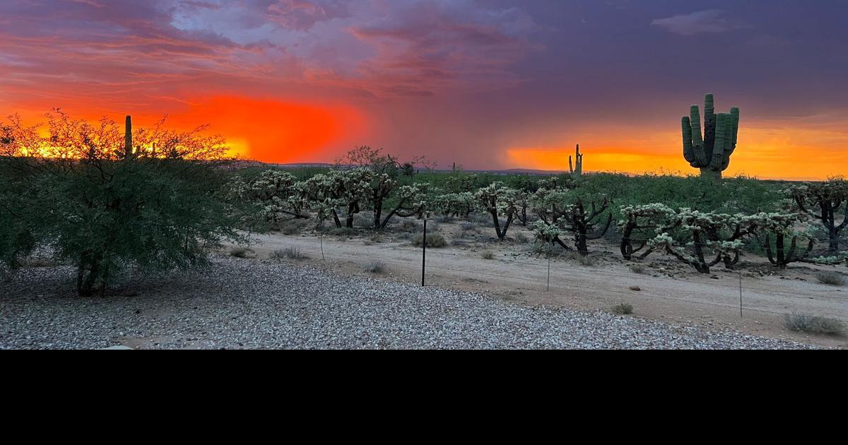 NABUR Monsoon Photo Contest 2023 | Gallery | gvnews.com