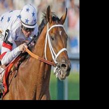 Big Brown cruises to another easy victory in Preakness | Local sports ...