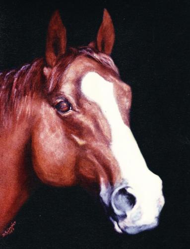 Sonoita ranch keeping stallion’s legacy alive | Get Out | gvnews.com