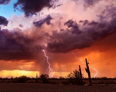 Rosie on the House: It's time to prepare for monsoons | Get Out ...