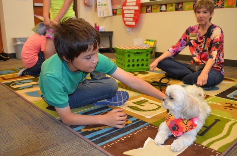 Class mates: Therapy dogs help special-needs kids at school | Local ...