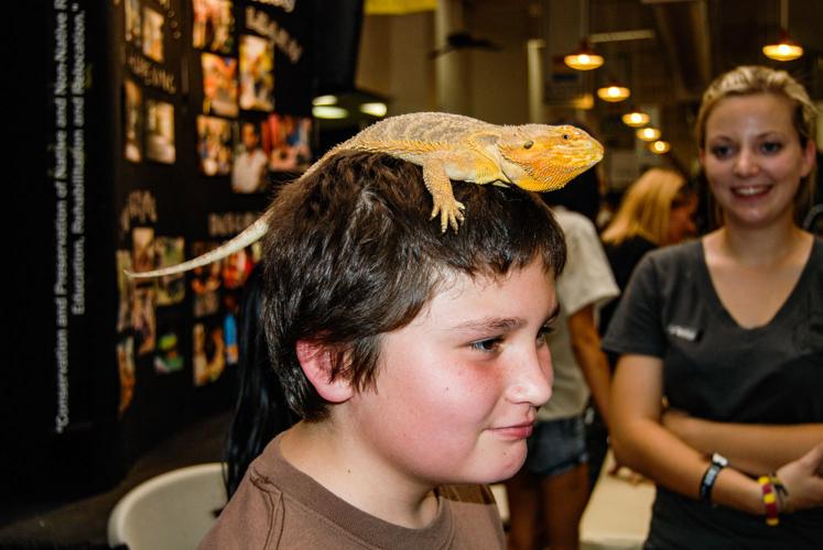 Reptile, amphibian show unlike any other | Get Out | gvnews.com