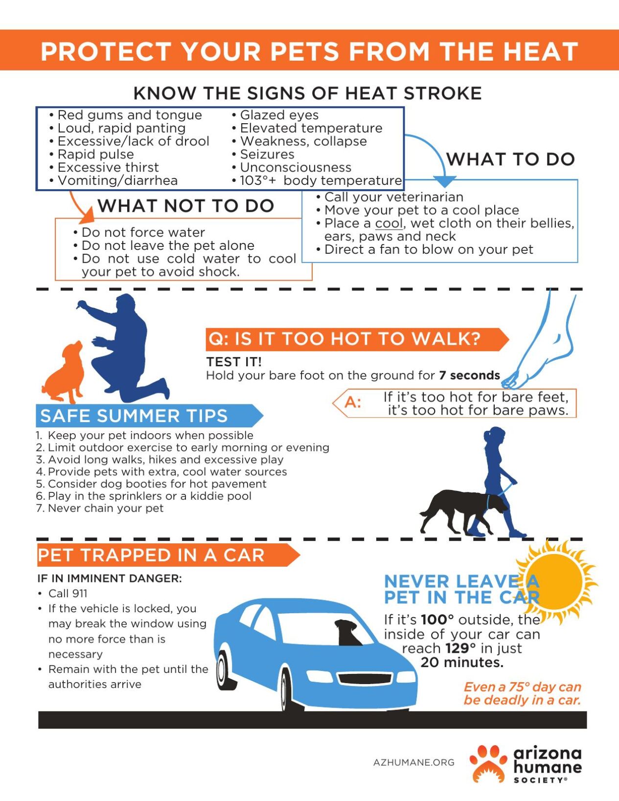 Safety Tips to Protect Pets from Heat | | gvnews.com