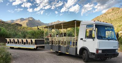 Hop aboard tram to visit Sabino Canyon | Get Out | gvnews.com