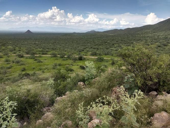 Meandering the Mesquite: THE LAND AROUND US — Managing the Santa Rita ...