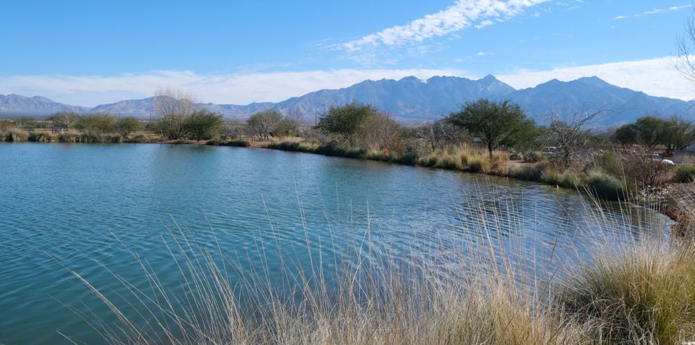 THEN AND NOW: A view of Historic Canoa Ranch | Local News Stories ...