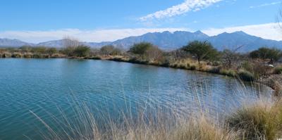 THEN AND NOW: A view of Historic Canoa Ranch | Local News Stories ...