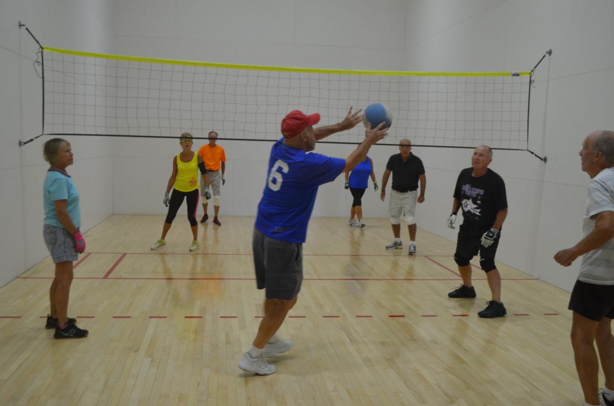 Wallyball for big kids | Local sports | gvnews.com