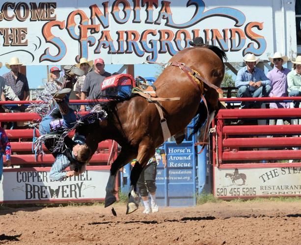 2022 Sonoita Labor Day Rodeo | Gallery | gvnews.com