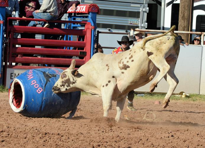 2022 Sonoita Labor Day Rodeo | Gallery | gvnews.com