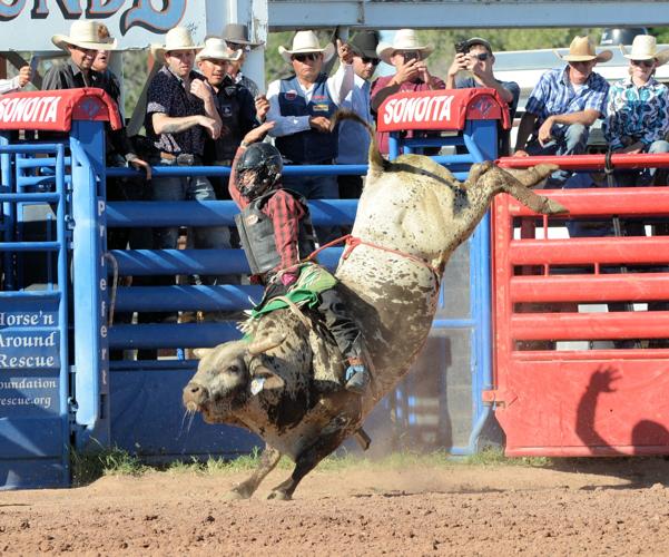 2022 Sonoita Labor Day Rodeo | Gallery | gvnews.com