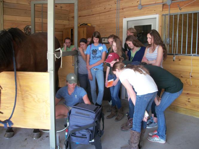 A Ten Year Success Reaching Across New York | Current Events | Hometown ...