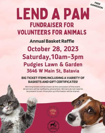 Lend A Paw Fundraiser for Volunteers For Animals | Benefits, Lunches ...