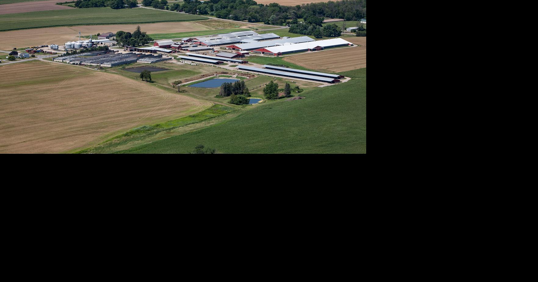 Inside Look at Dairy Farming with El-Vi Farms of Newark | Informational ...