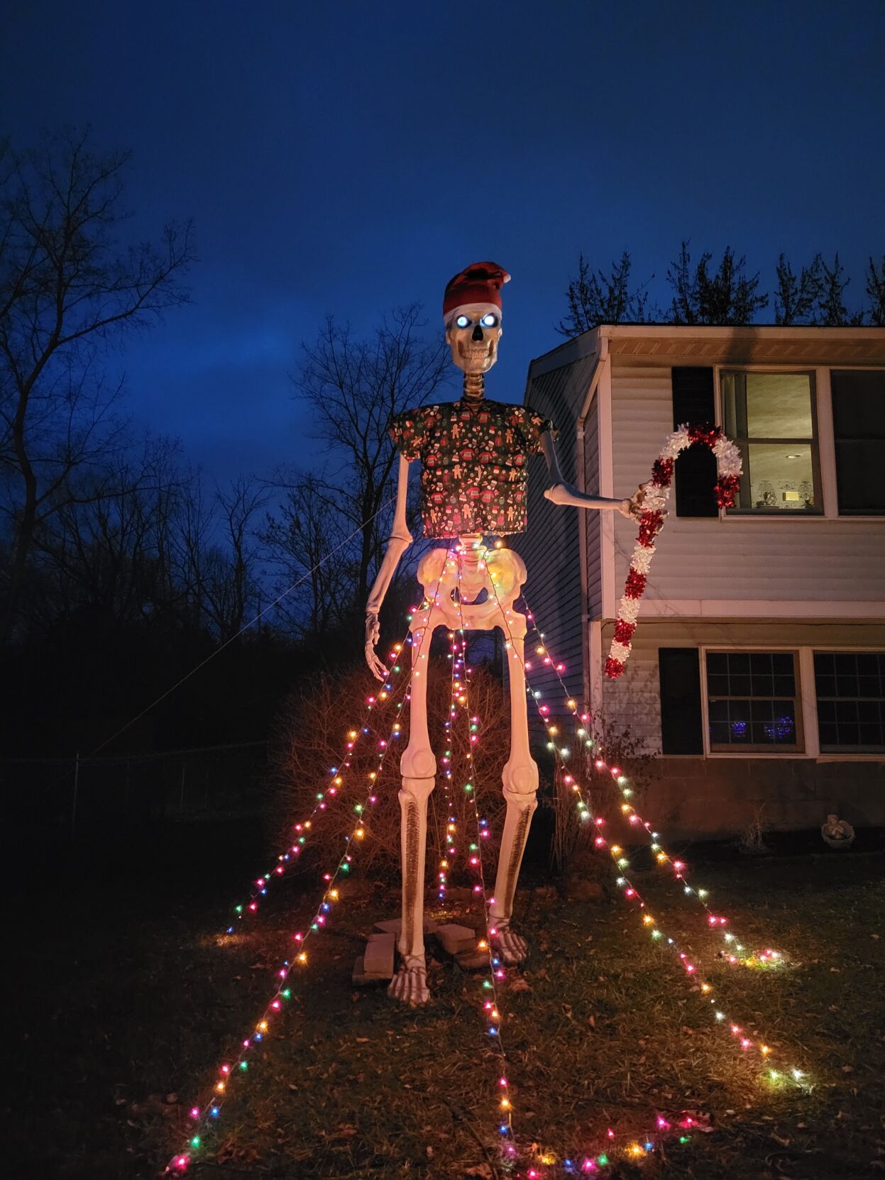 Henrietta Family’s 12-Foot Skeleton Becomes a Neighborhood Landmark ...