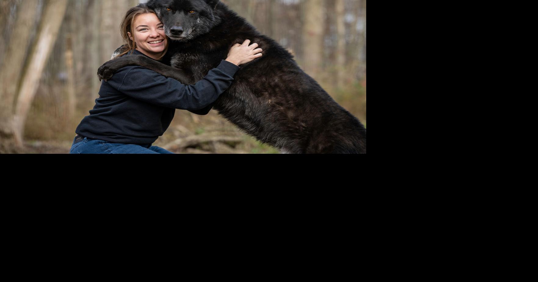 From Foxes to Followers: One Woman’s Mission to Rescue Wildlife and ...