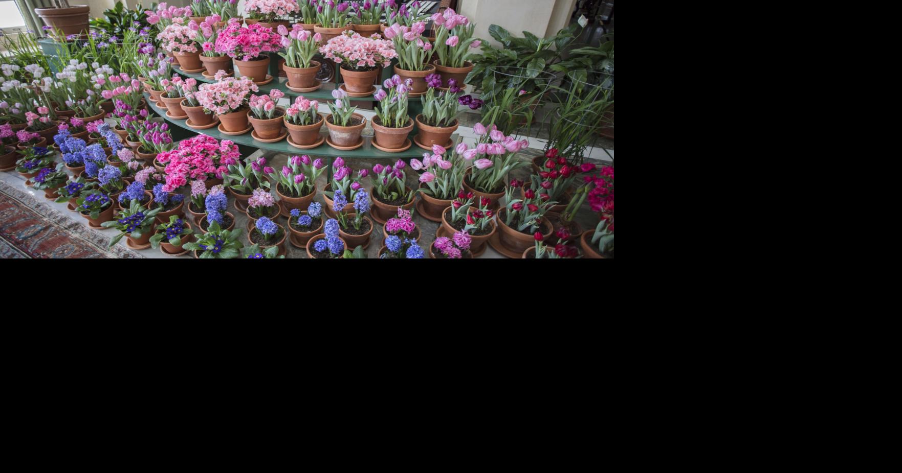 George Eastman’s historic mansion will reopen with the 26th Annual ...