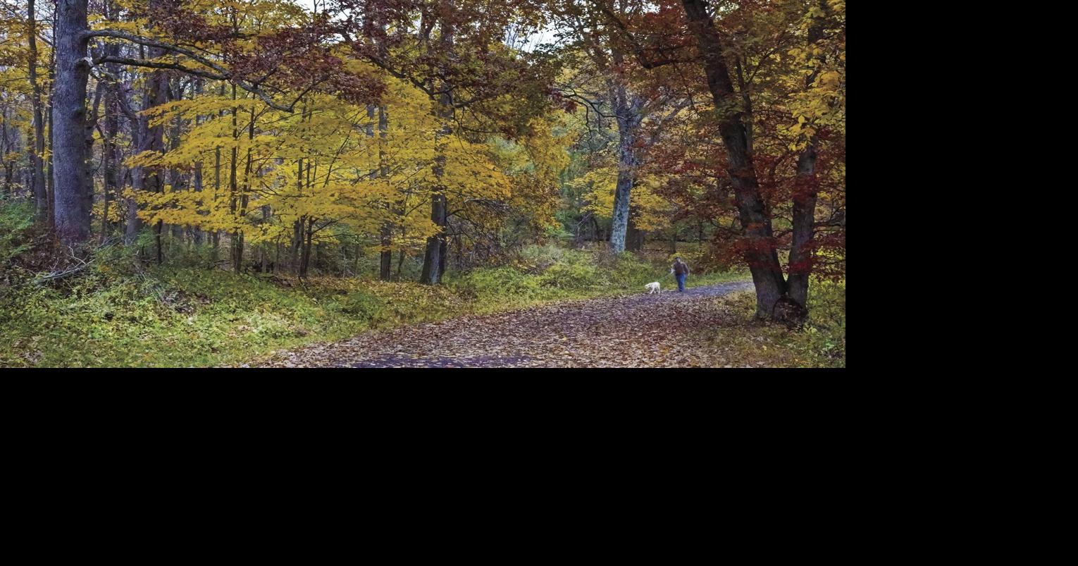 Guided Dog Walk through the Genesee County Park & Forest ...