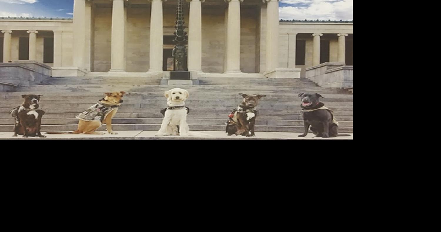 Filling the Gap WNY Heroes Provides Lifesaving Support for Veterans and ...