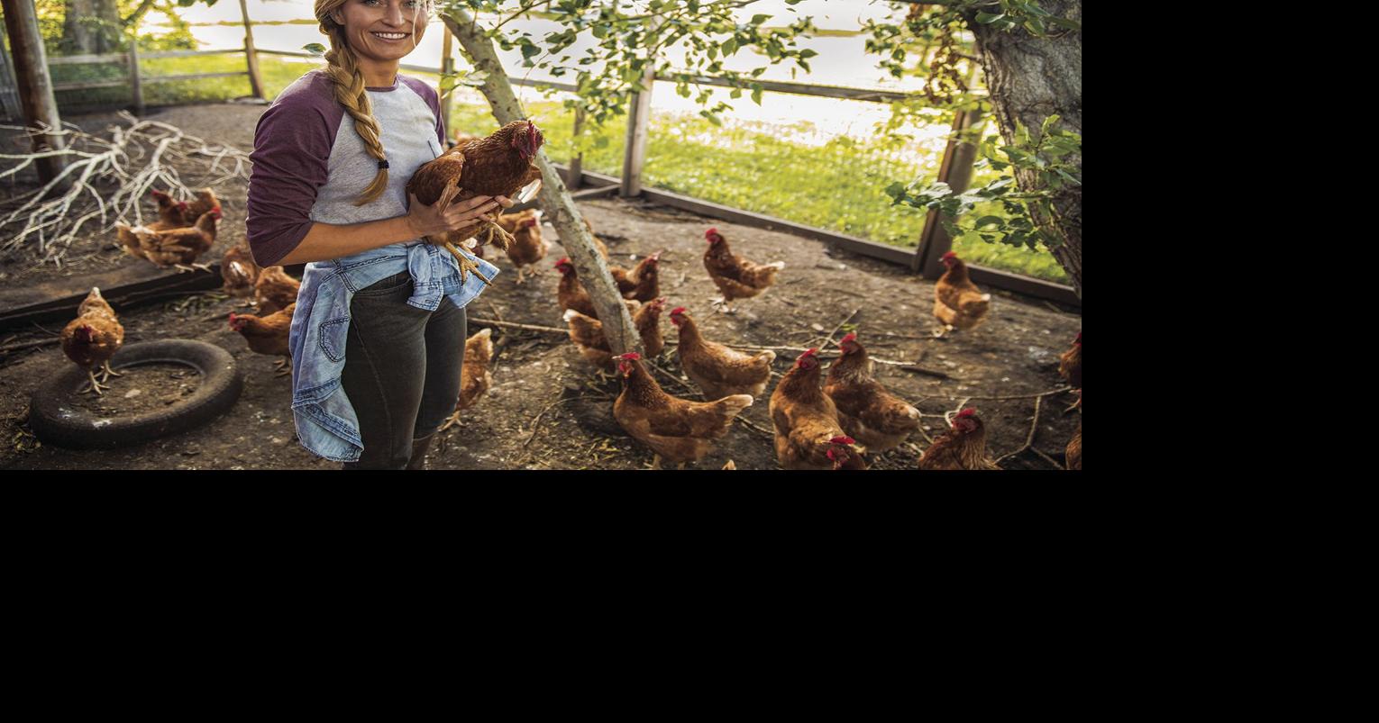 Biosecurity for Backyard Poultry | | gvpennysaver.com