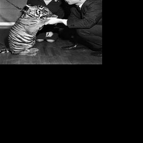 When RIT Had a Tiger: The Rise and Fall of Spirit | Historical ...