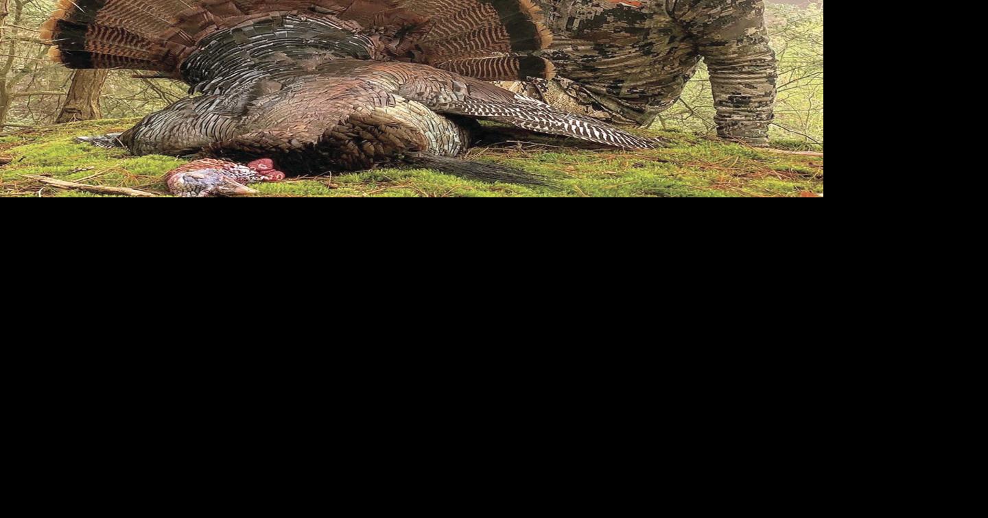 Wyoming County Conservation District Manager, Al Fagan, Shares His ...