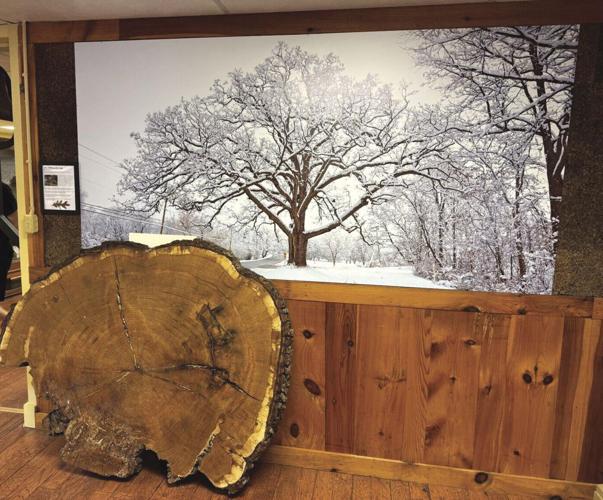 Honeoye Falls – Town of Mendon Historical Society Reimagining its ...