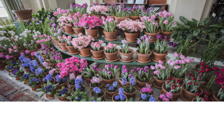 Dutch Connection opens on FRIDAY at the George Eastman Museum ...