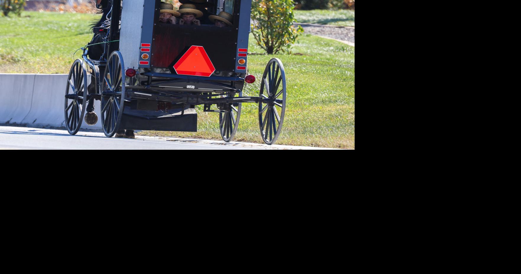 Pa. Amish families experience autism and take Tylenol, experts say ...