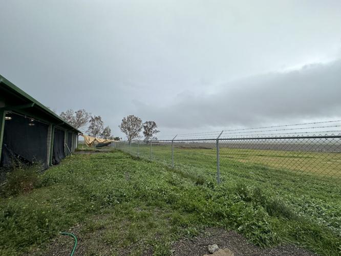 Avenal Animal Shelter volunteers fundraising to build a play area for ...