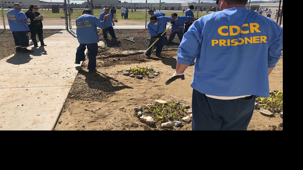 Photos: Prison yard garden planted by Avenal inmates | Gallery ...
