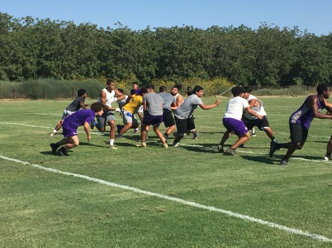 Football preview: Lemoore looks to rebound after rough 2016 | Local ...