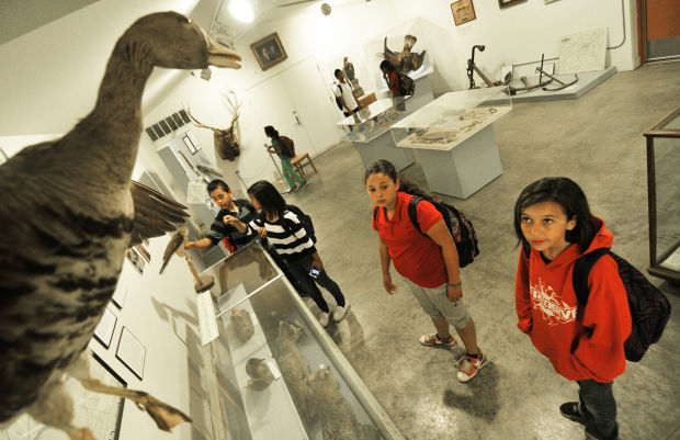 Burris park program combines learning, fun | Local News ...