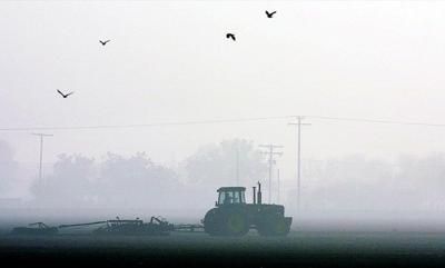Why does Kings County get so much thick fog? | Local News ...