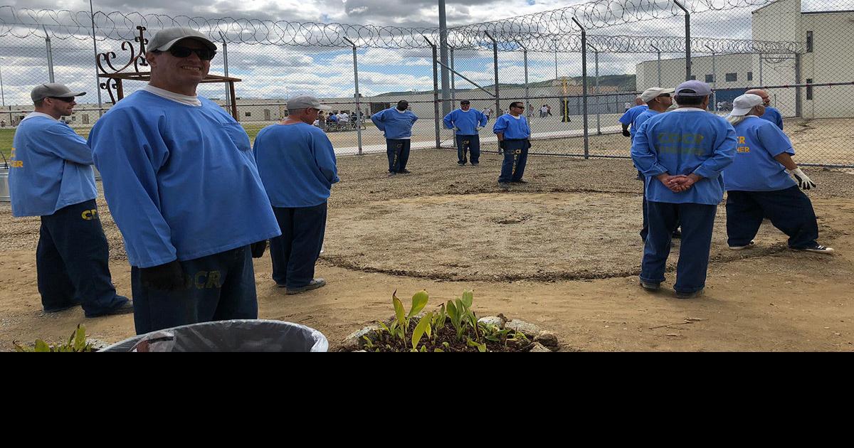 115 inmates test positive for COVID-19 at Avenal State Prison | News ...