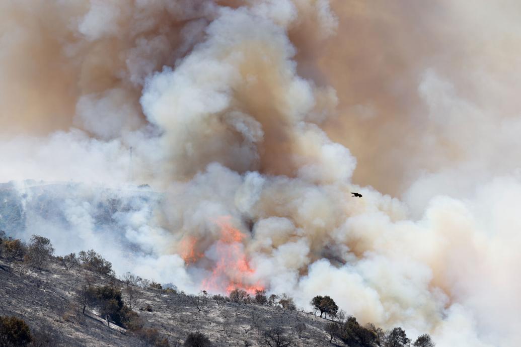 NorCal braces for dry, dangerous fire season as SoCal faces typical ...