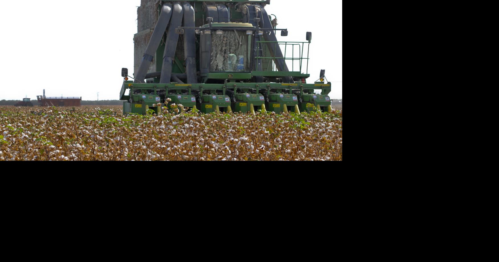 Agriculture has sustained Kings County residents since the beginning ...