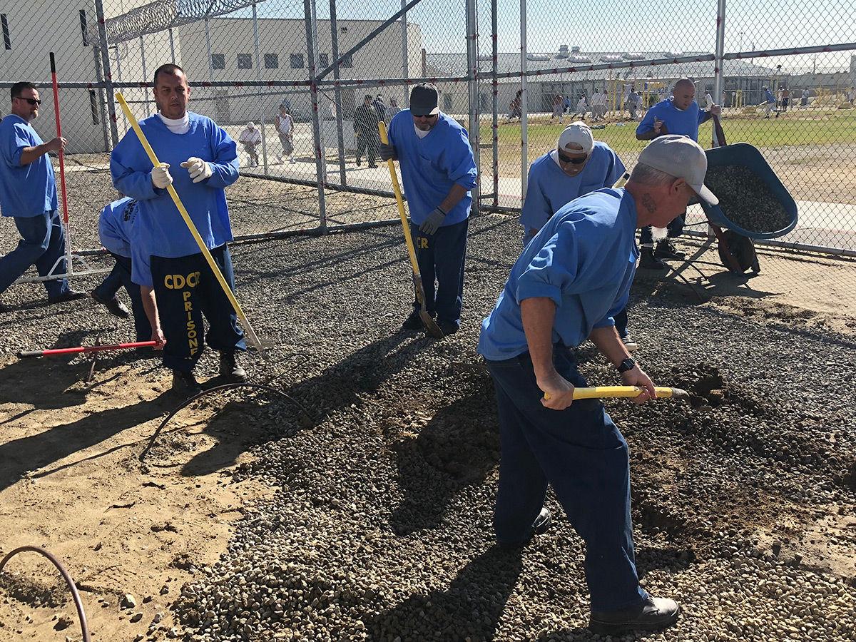 Photos: Prison yard garden planted by Avenal inmates | Gallery ...