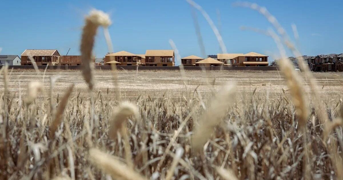 Nine years later, California court saga over $23,420 housing fee ...