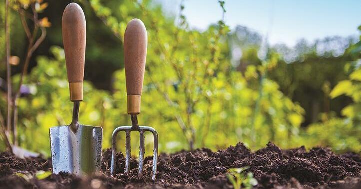 Spring planting starts next month | Garden Checklist | Home and Garden ...